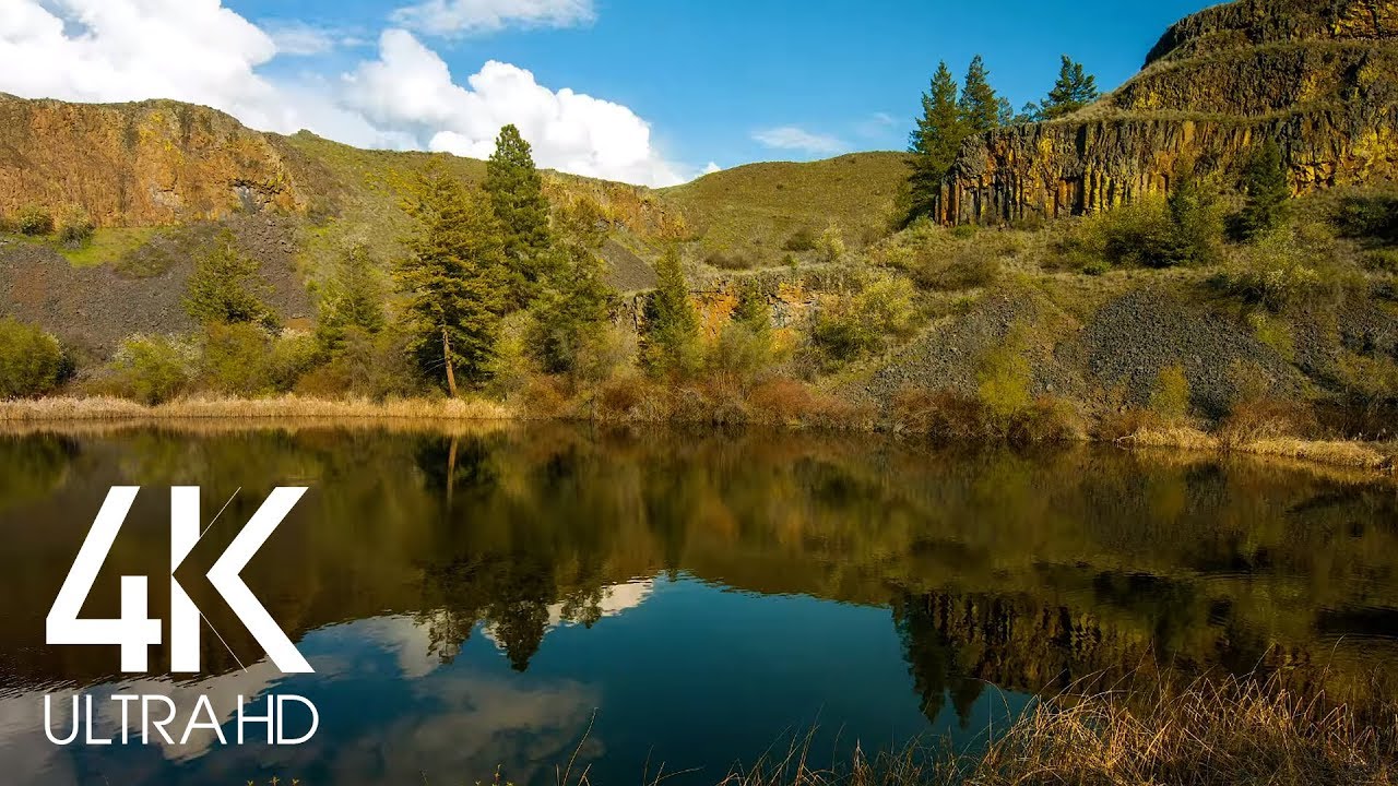 10 Hour - Lake Lapping Water & Birds Singing Sounds for Relaxation ...