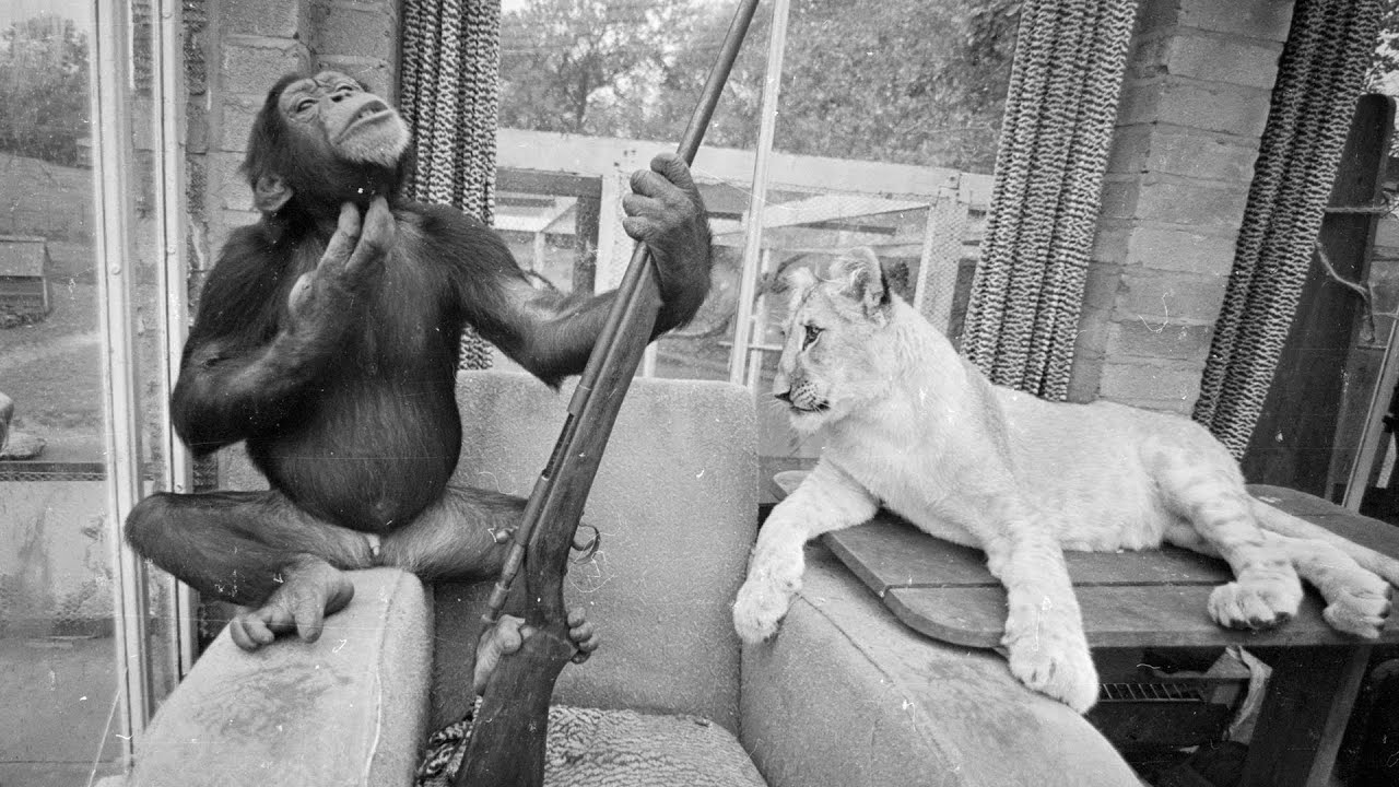 23 Animal Photos You Won't Believe Actually Exist - YouTube