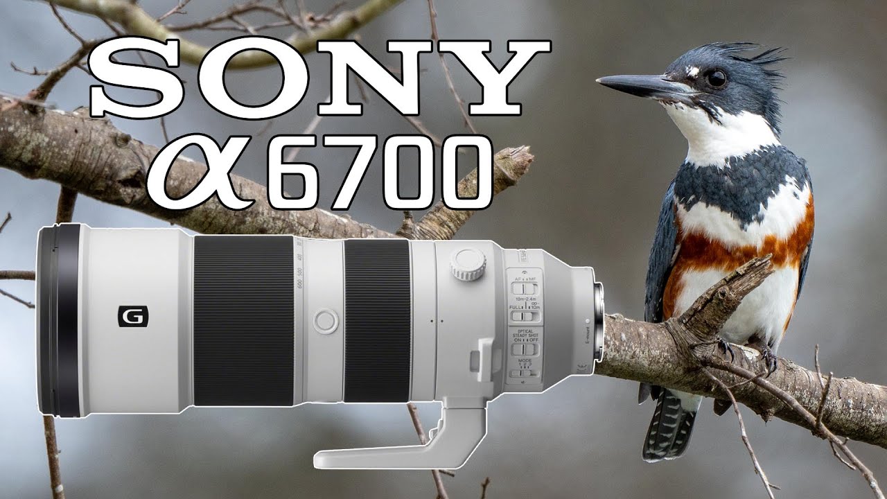 Sony 200-600mm Bird Photography with a6700 Camera! - YouTube