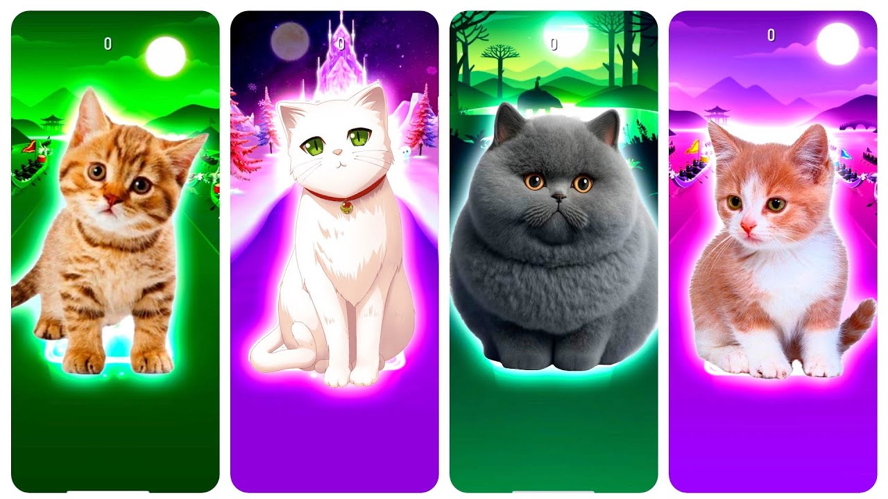 YOO-TOP! Crazy Kitty Vs Sweet Kitty Vs Cute Kitty Vs Furry Kitty In ...