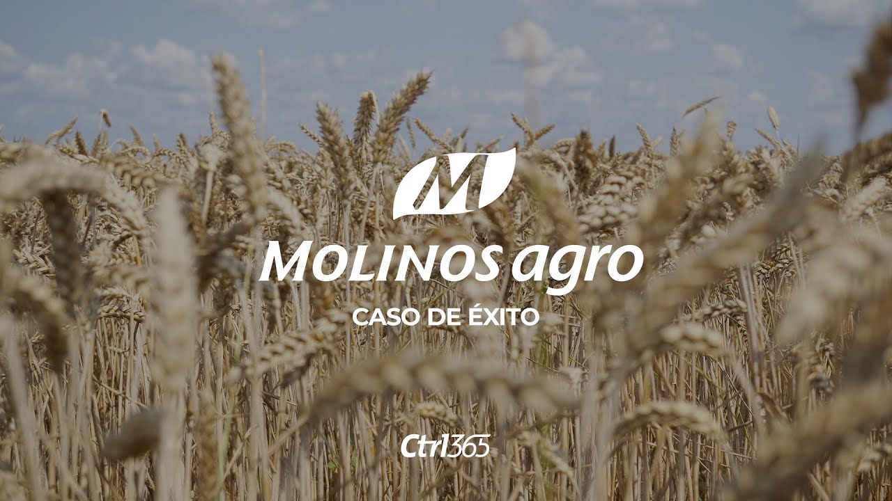 La fábrica del futuro de Molinos Agro: ciberfísica, inteligente, sustentable y autónoma - YouTube