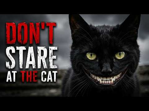DON'T STARE AT THE CATS | Horror Short Film