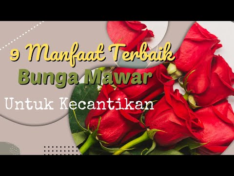 9 Manfaat Bunga Mawar untuk Kecantikan Khasiat Air Bunga Mawar untuk ...