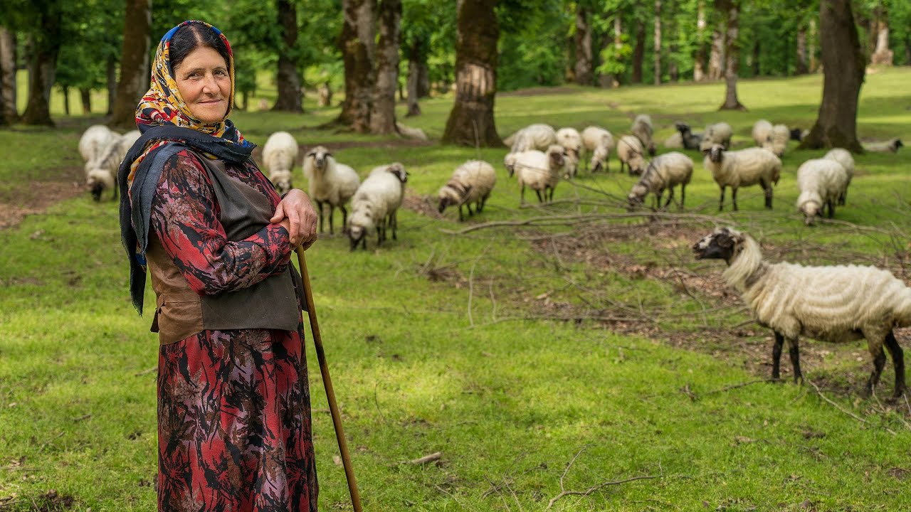 Shepherd woman in the mountains of Talesh - Country life Vlog Series ...