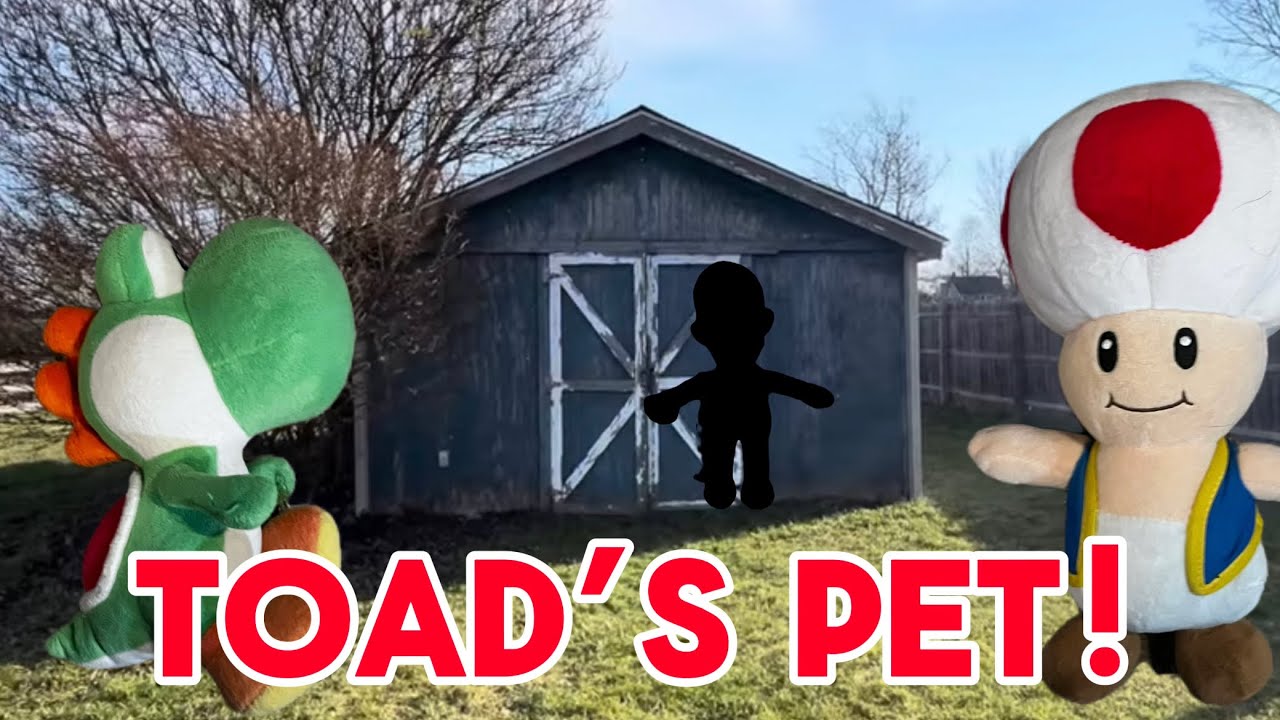 Toads Pet! - YouTube