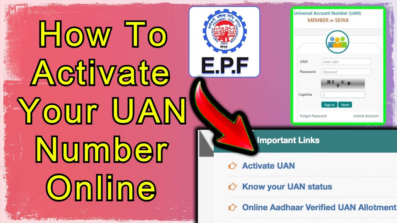 2020#EPFO || How to activate and login to the EPFO website using UAN ...