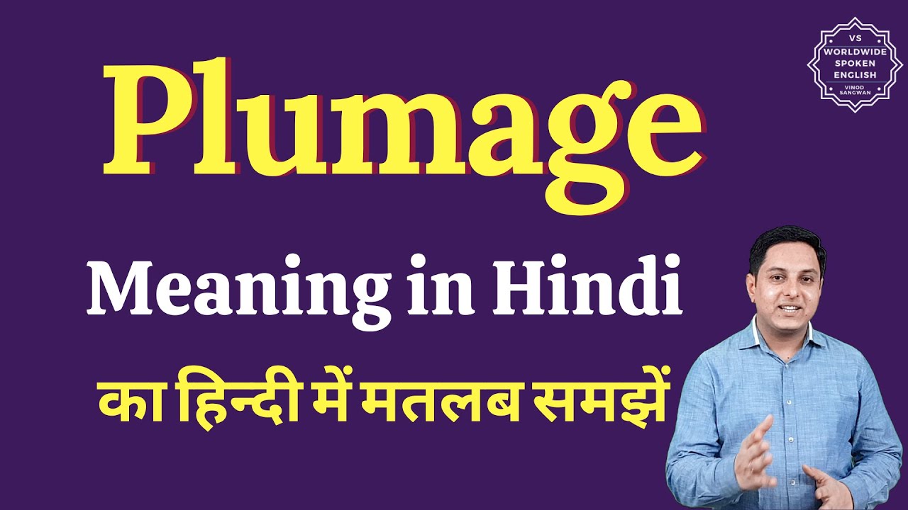 Plumage meaning in Hindi | Plumage ka matlab kya hota hai | English ...