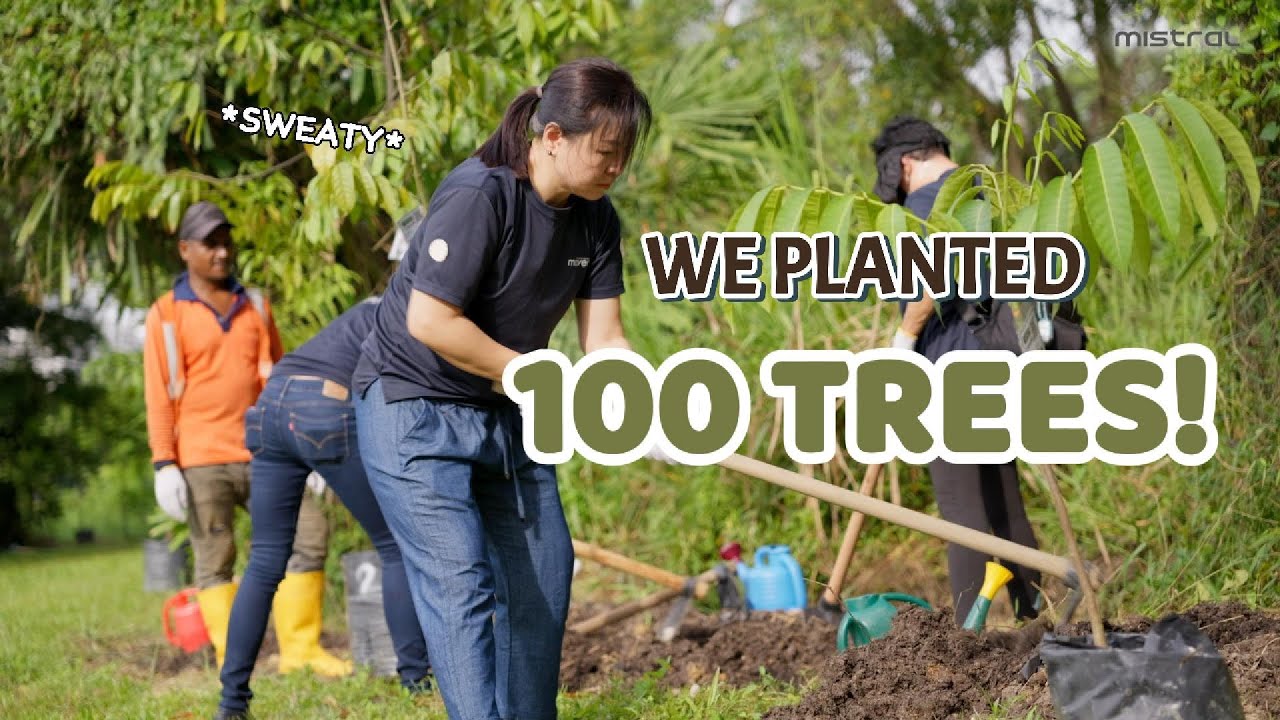 We Planted 100 Trees! - Greenleaf by Mistral Intiative - YouTube