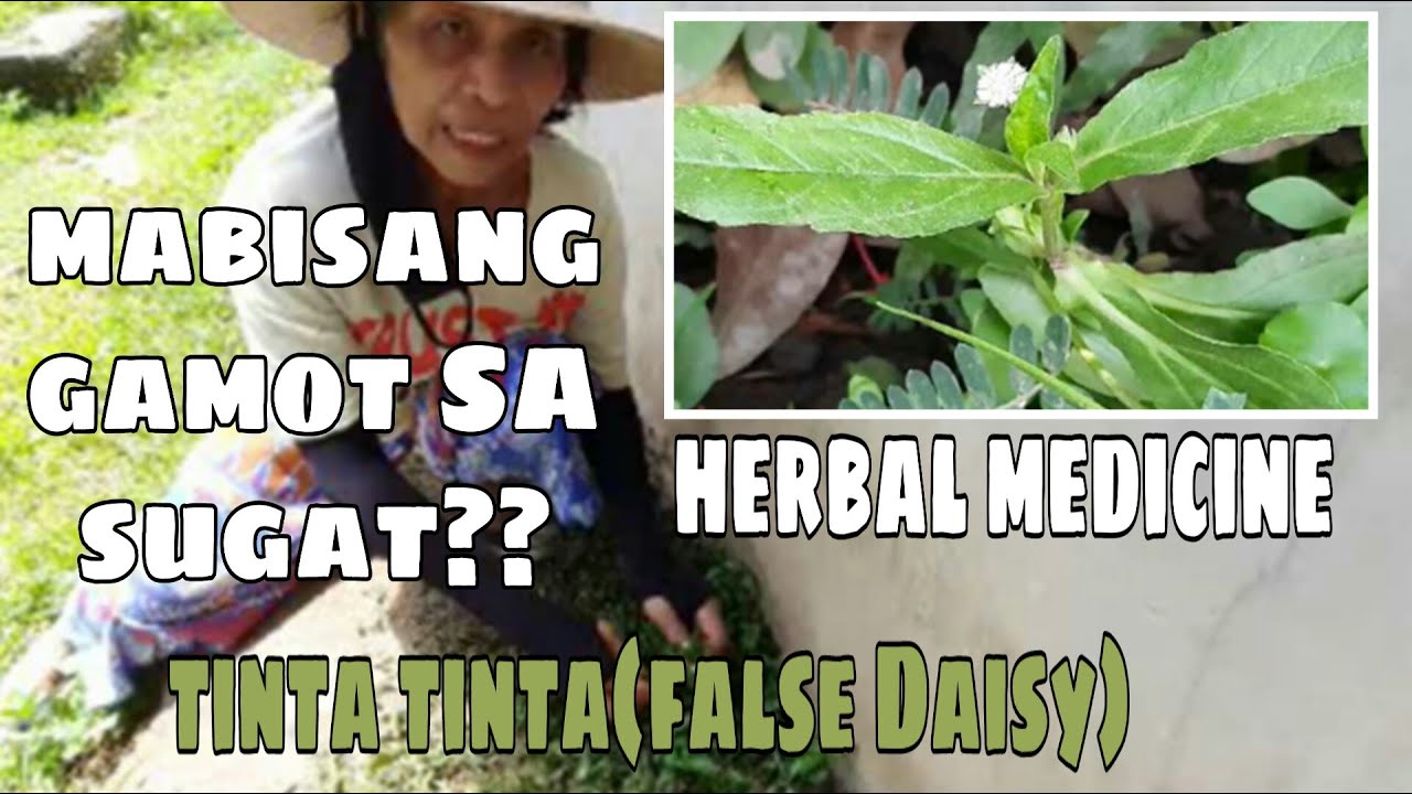 MABISANG GAMOT SA SUGAT?? | HERBAL MEDICINE PARA SA SUGAT | TINTA TINTA ...