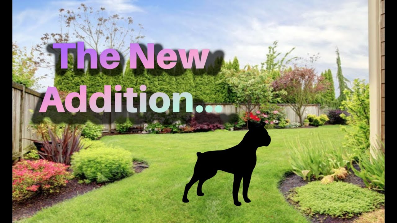 The New Addition... - YouTube