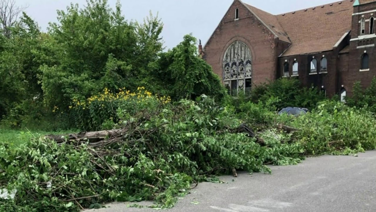 Detroit neighbors fight against blight, city - YouTube