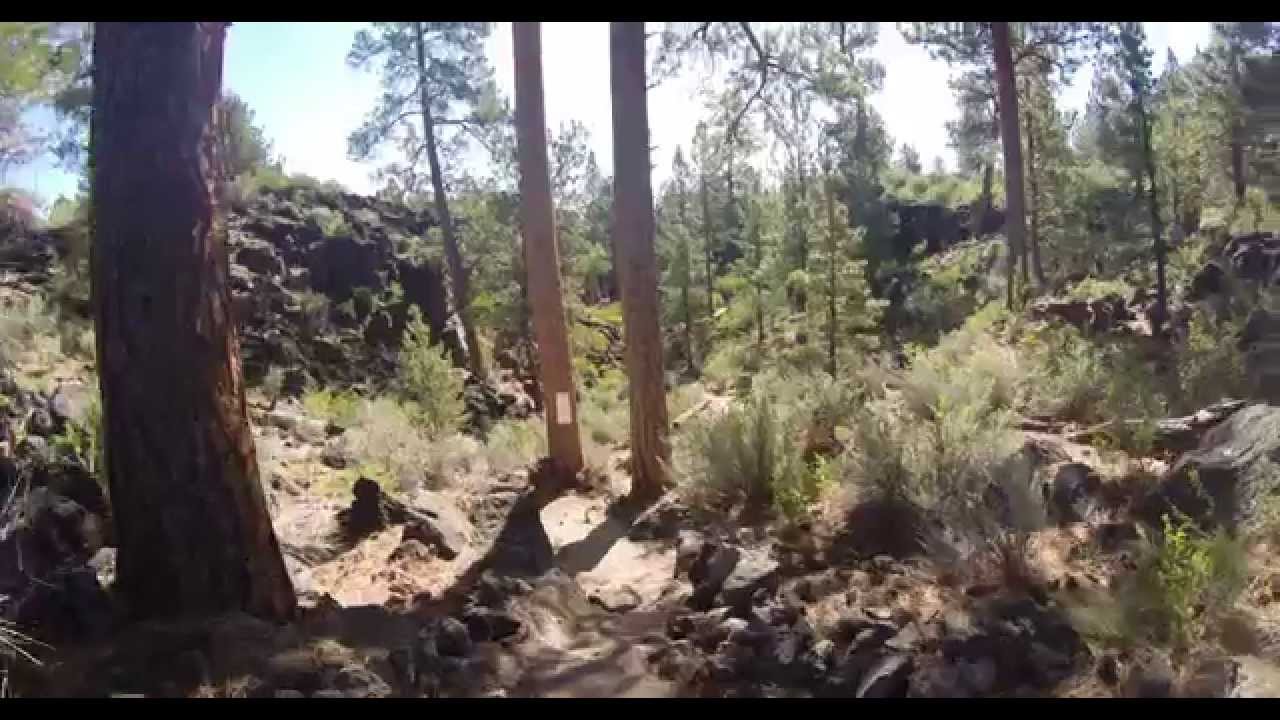 Hidden Forest Cave, part 1, 4k - YouTube