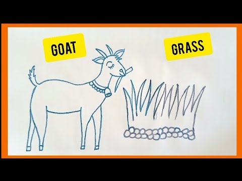 Alphabet Learn with Animals and Nature | G for Goat 🐐 & G for Grass ⛰️ ...