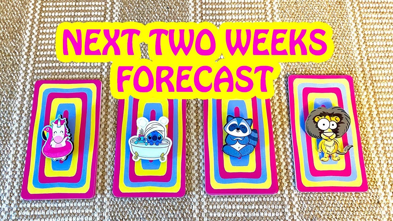 NEXT TWO WEEKS FORECAST. PICK A CARD - YouTube