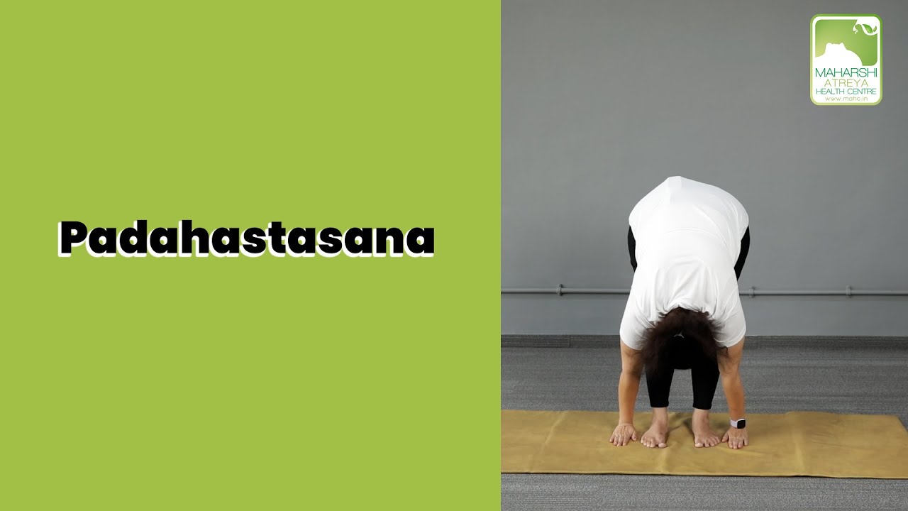 Pādahastāsana | Standing | Dr Avani Pandya | Daily Yoga - YouTube