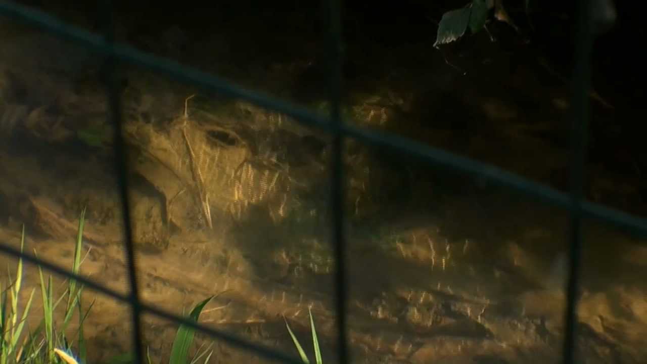 Philippe Chabert Lago, Laghetto.m2ts - YouTube