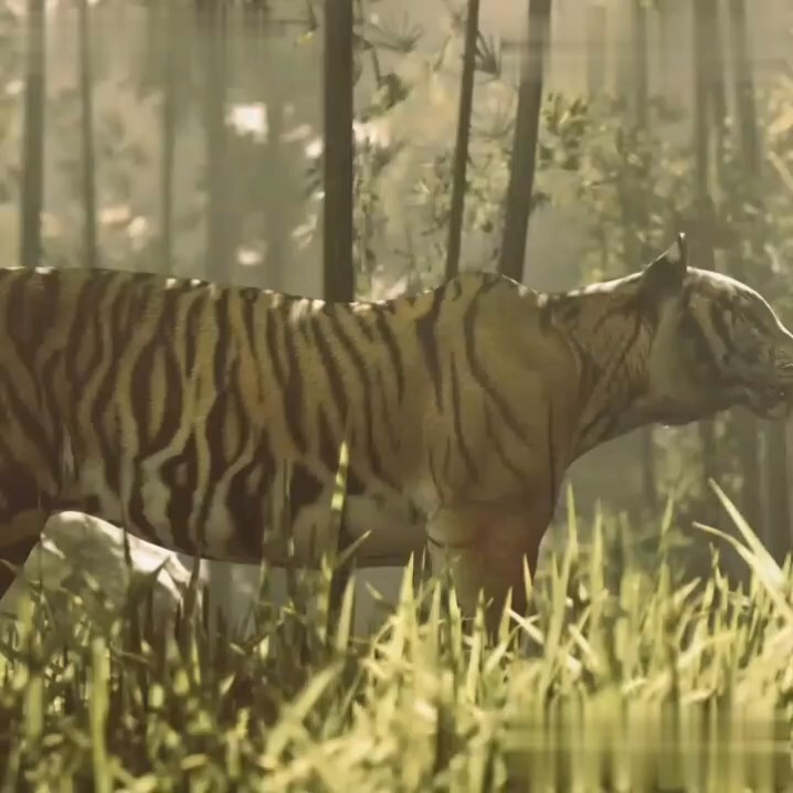 "Tasmanian Tiger: Nature's Lost Marvel 🌿🐾 "#EndangeredSpecies # ...