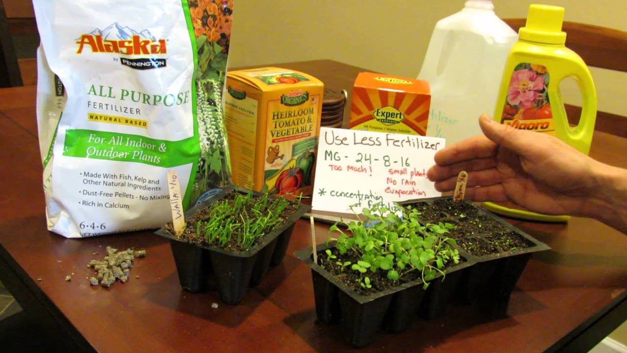 MFG 2016: Fertilizing Indoor Vegetable Seed Starts: When, How and ...