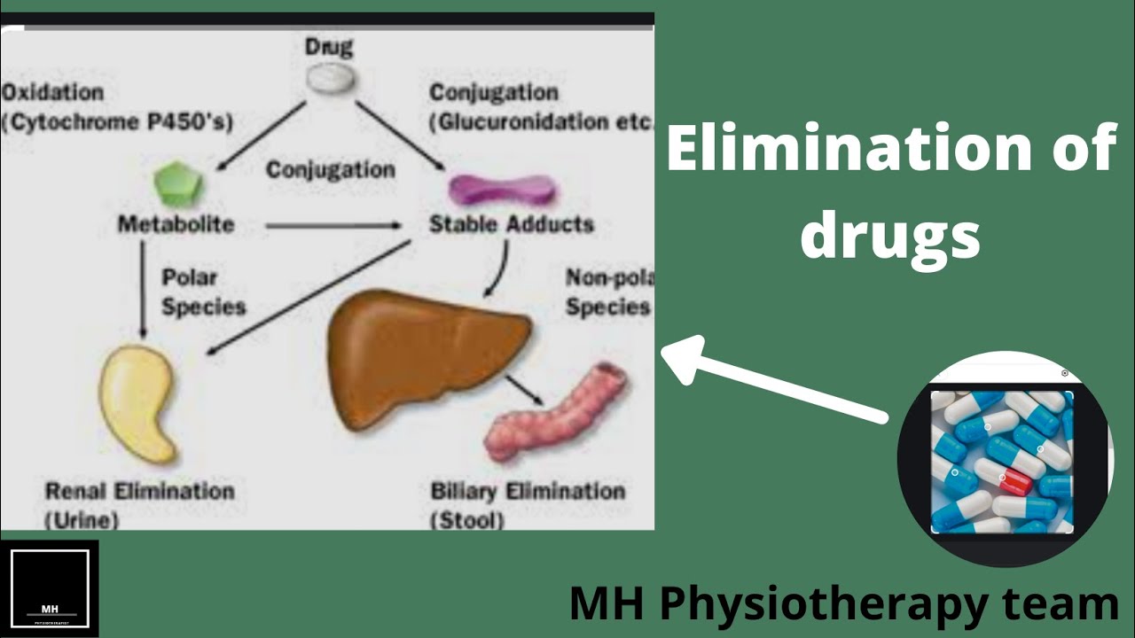 Drug elimination| Pharmacology |Excretion|#Orders of elimination # ...
