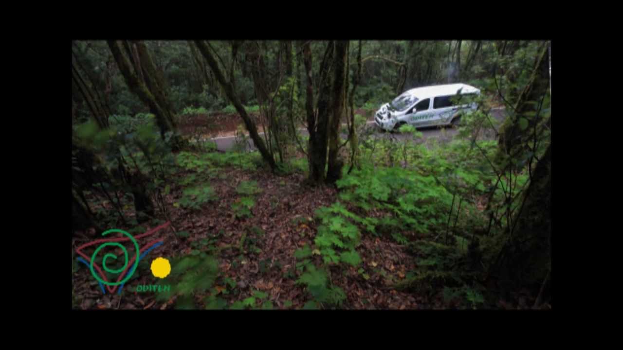 Vídeo presentación de ODITEN, "One day in Tenerife" - YouTube