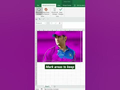 remove photo background in excel #excel #exceltricks #exceltutorial #msdhoni #viral #shortsviral ...