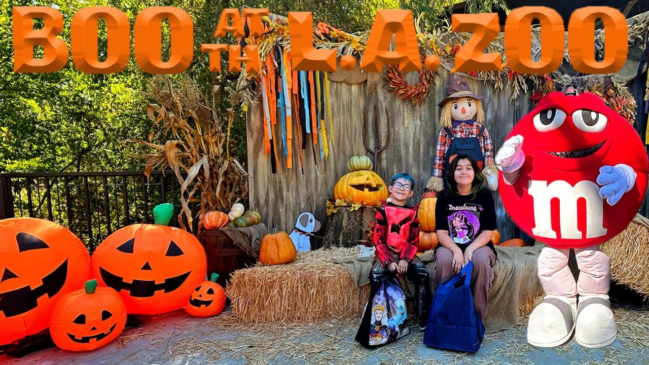 Boo at the L.A ZOO 2023 | LOS ANGELES ZOO - YouTube