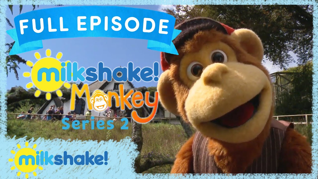 Milkshake! Monkey | Monkey Sanctuary | Full Episode - YouTube