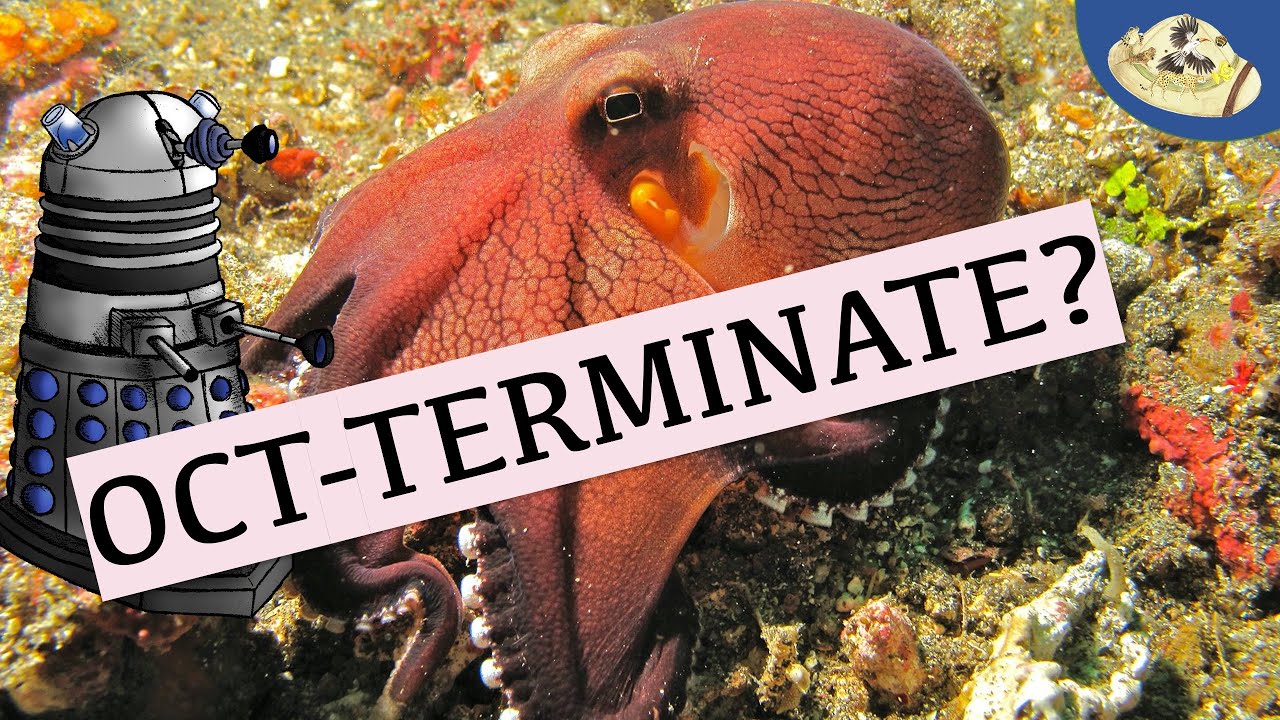 What Animal is like a Dalek? Doctor Who Animal Comparison ft. Natural ...