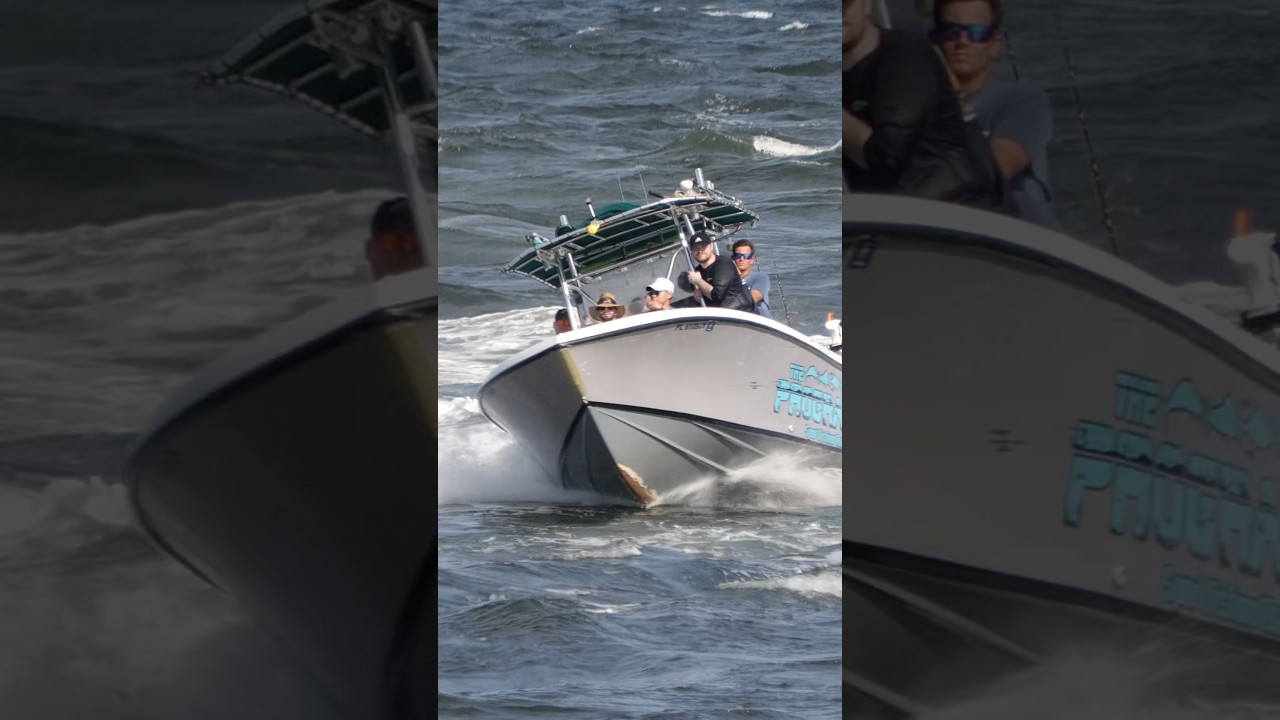 We love Florida Inlets-Boynton Beach🌊🚤🌊 #shorts - YouTube