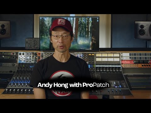 ProPatch Overview with Andy Hong | Wolff Audio - YouTube