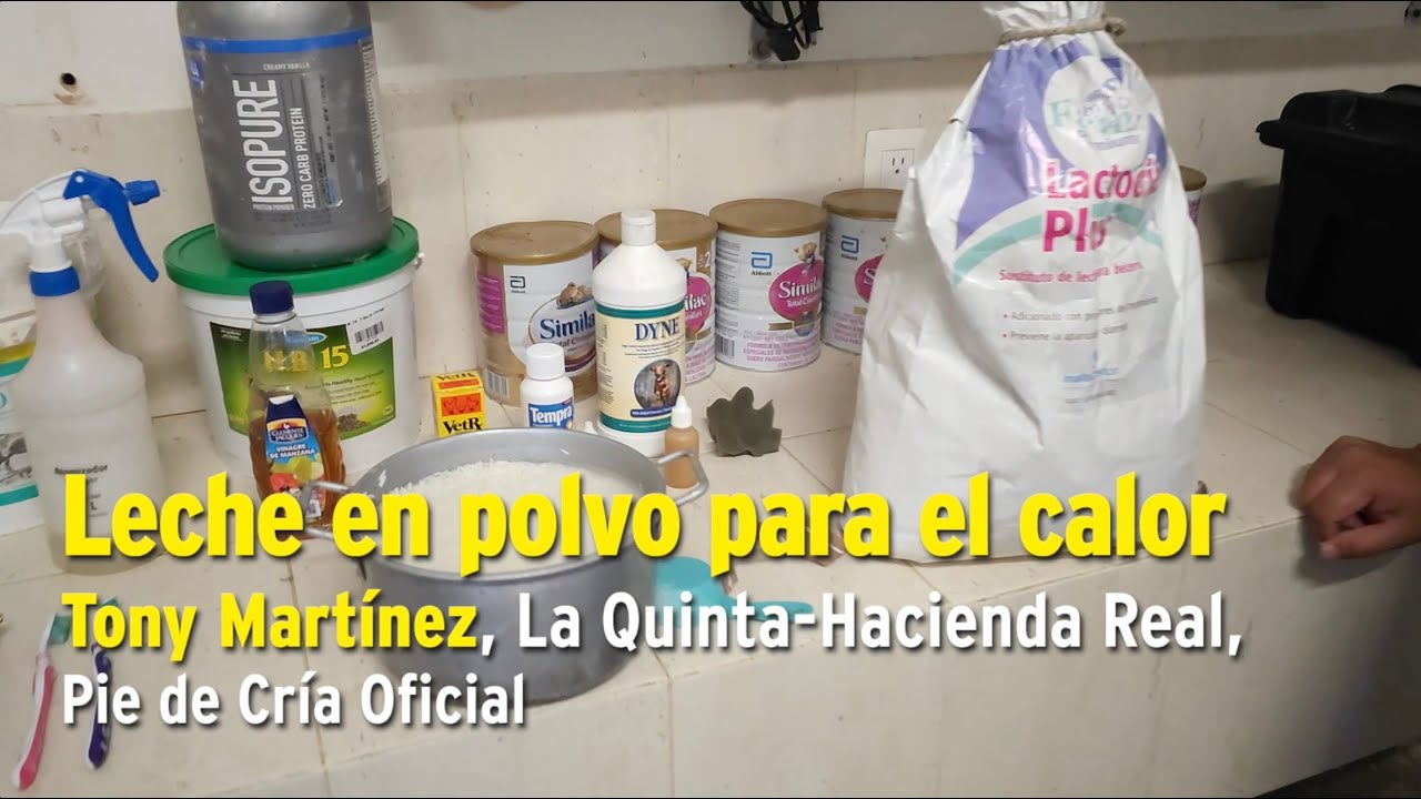 Leche en polvo para los días calurosos, Tony Martínez, La Quinta ...