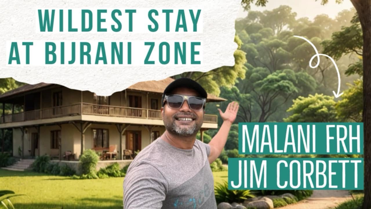 Jim Corbett Bijrani Zone Tour : Wild Life Safari Experience | Exploring ...