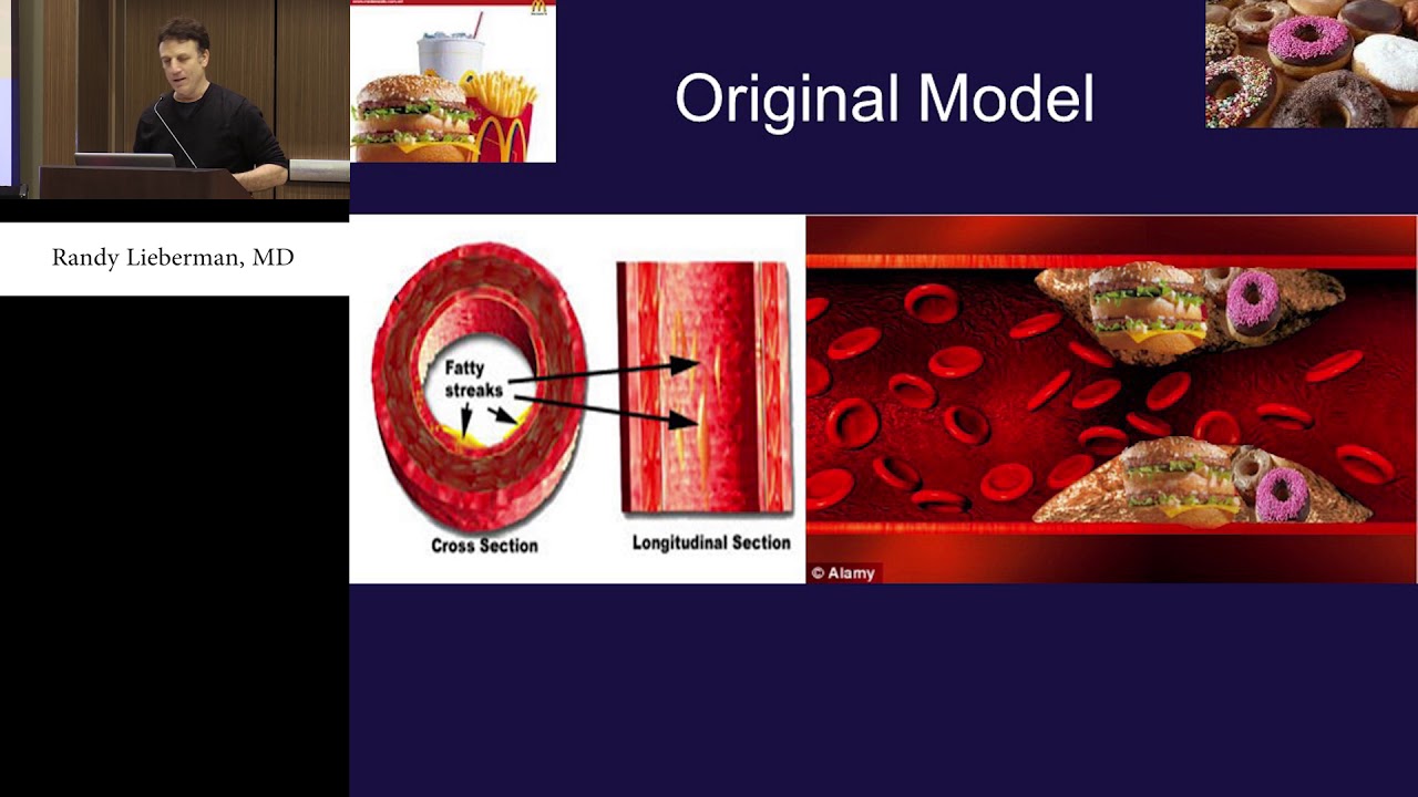 Itamar Panel Symposium HRS 16, Randy Lieberman - YouTube