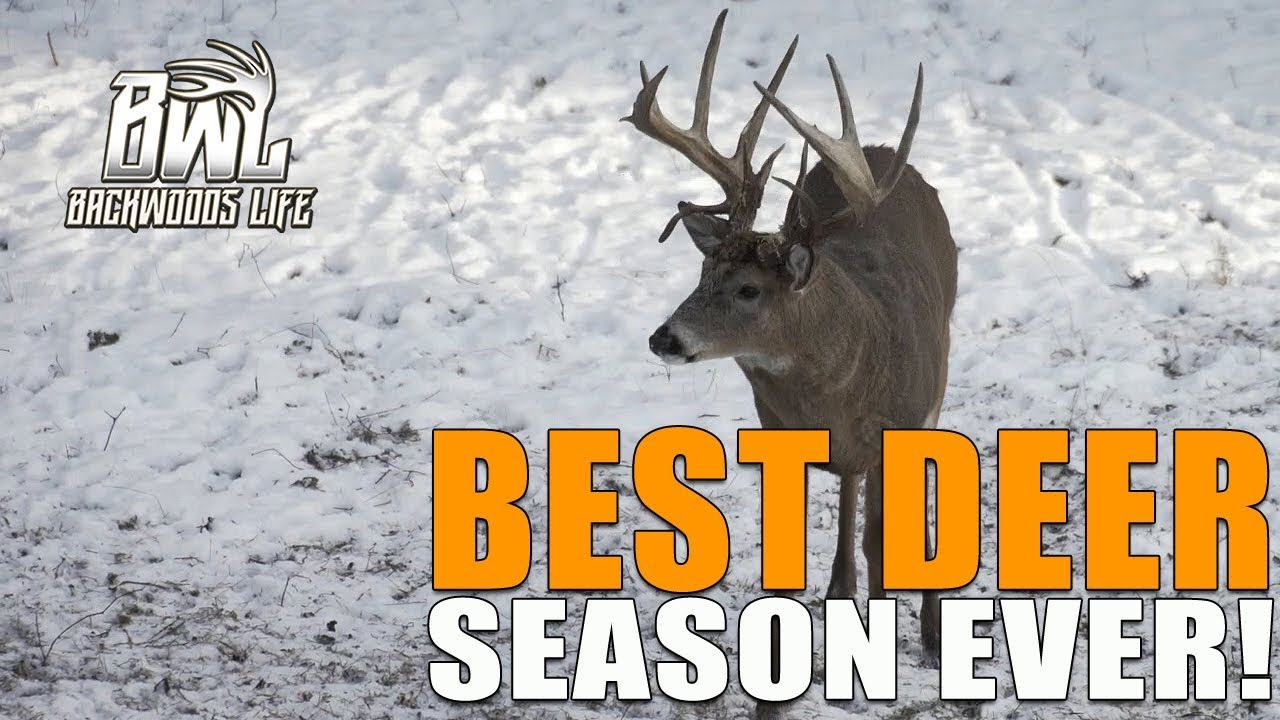 The Best Deer Hunting Season Ever! Backwoods Life Season 15 - YouTube