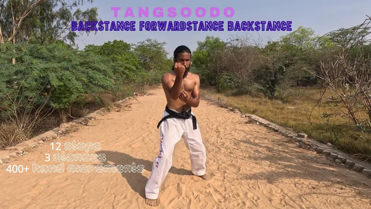 BACK FORWARD BACK STANCE. change of stance, direction. 12 STEP PRACTICE ...