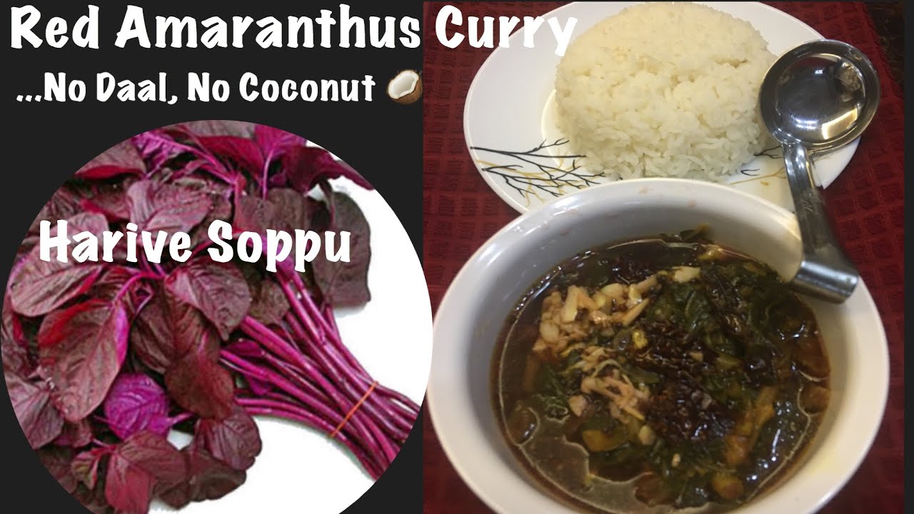Red Amaranth Curry | Harive Soppu Recipe - YouTube