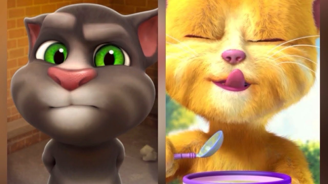 Talking Tom cat vs talking ginger cat - YouTube
