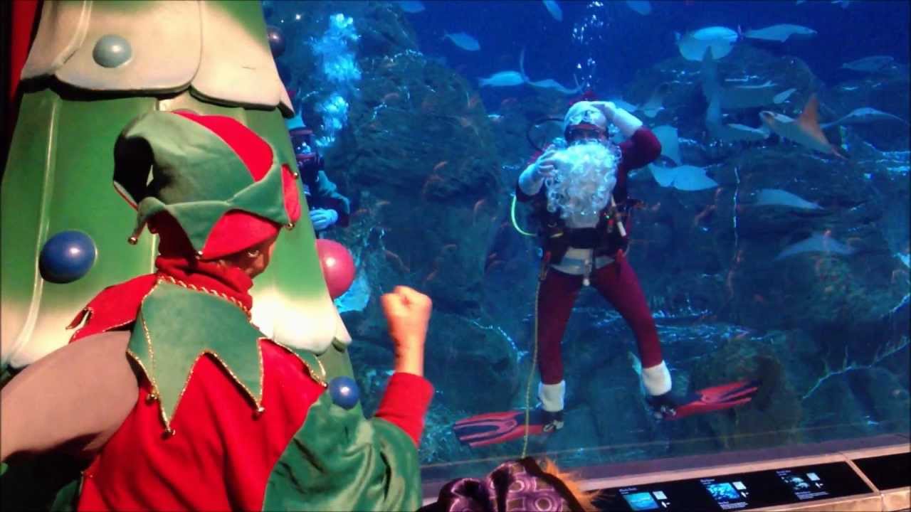 Scuba Santa Makes a Visit to Adventure Aquarium - YouTube