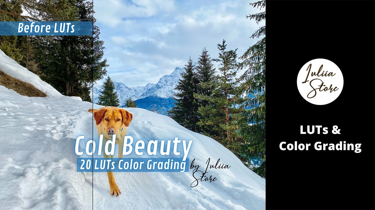 Color Grading Cold Beauty LUTs for Final Cut Pro, Winter Affinity Photo ...