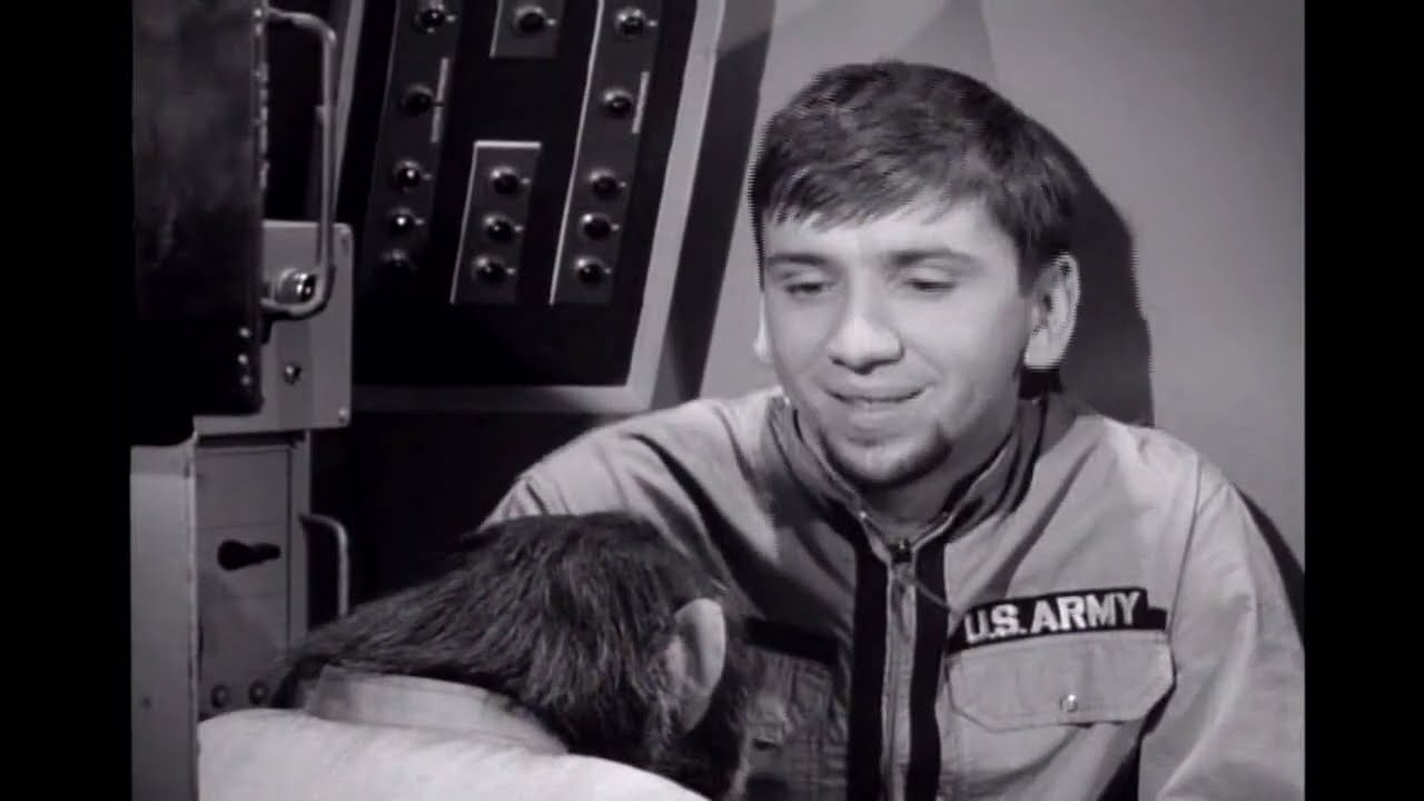 Maynard G. Krebs & The Monkey - YouTube