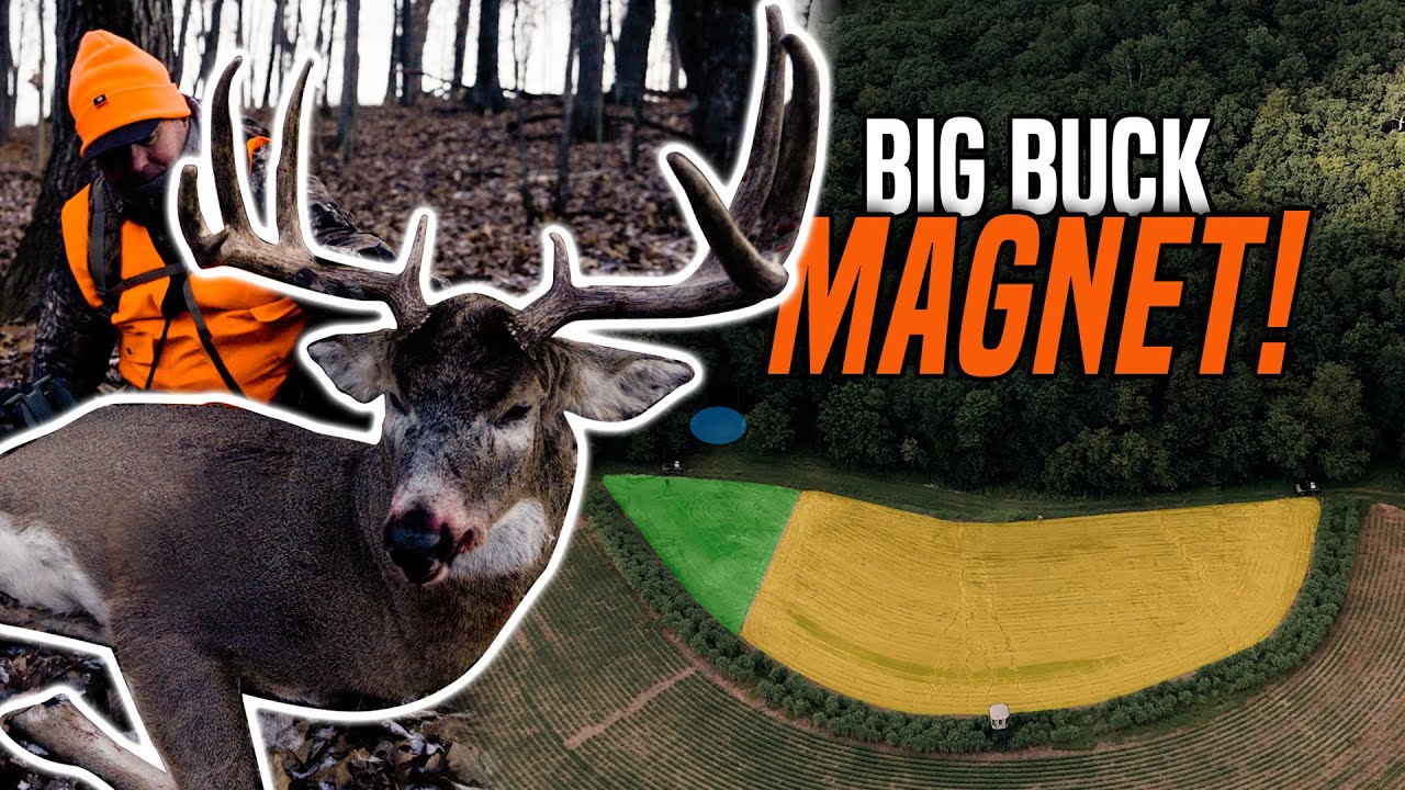 My Favorite Stand on the Whole Farm! | Bluff Country Hunting Strategy ...