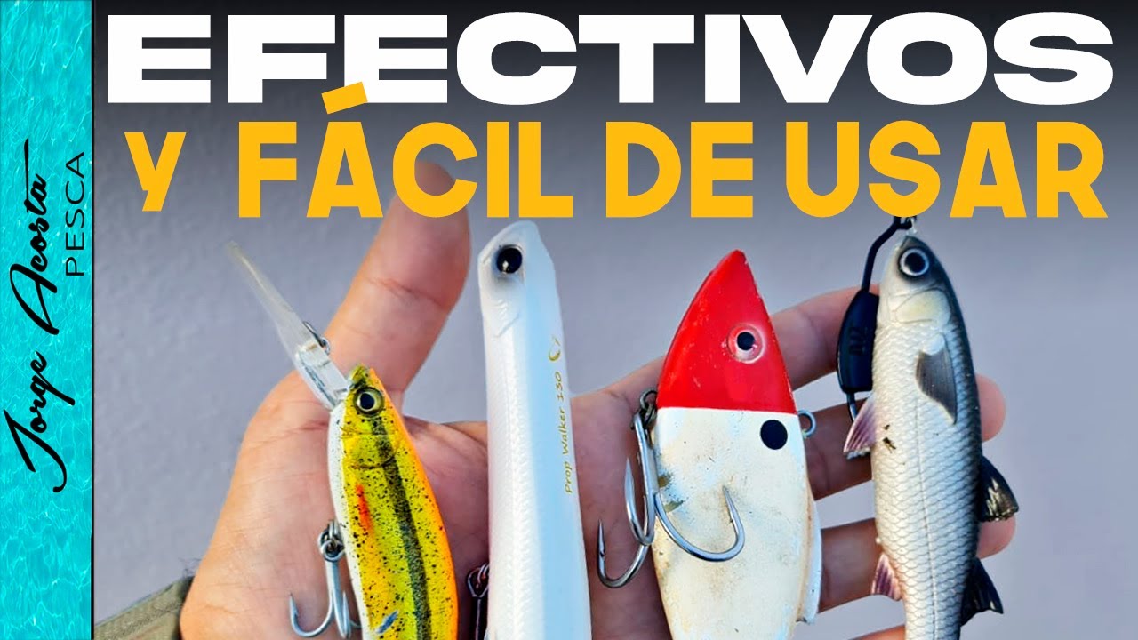 SEÑUELOS de PESCA para PRINCIPIANTES - Efectivos y fáciles de usar ...