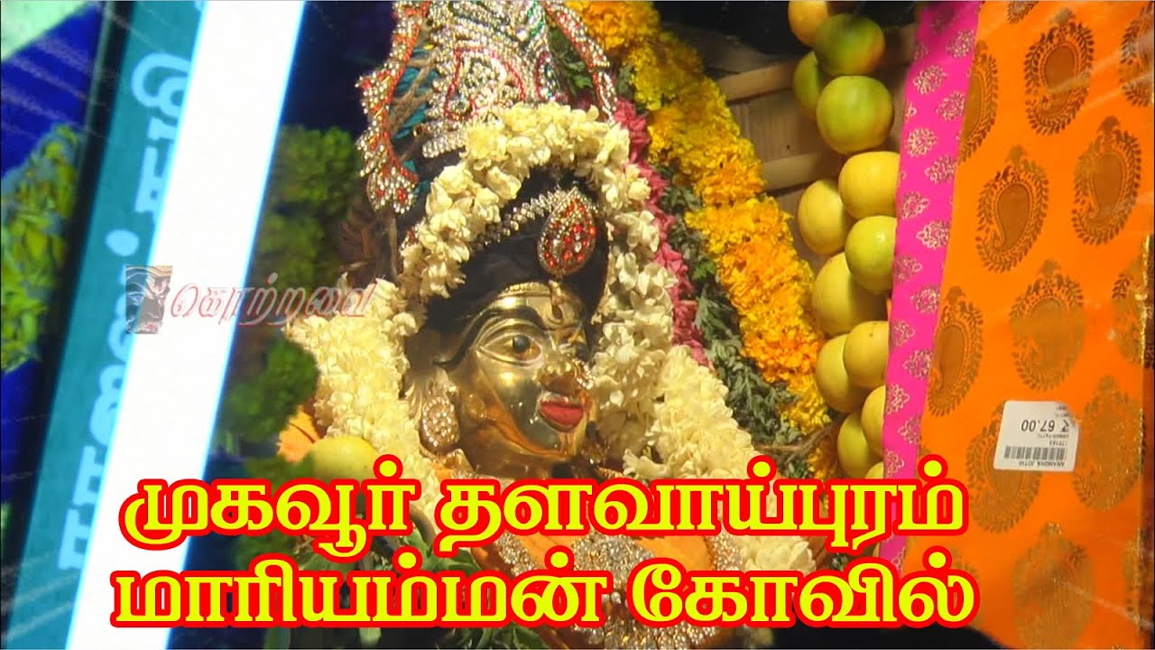 Thalavaipuram Mariamman kovil pookuli Kottravai - YouTube