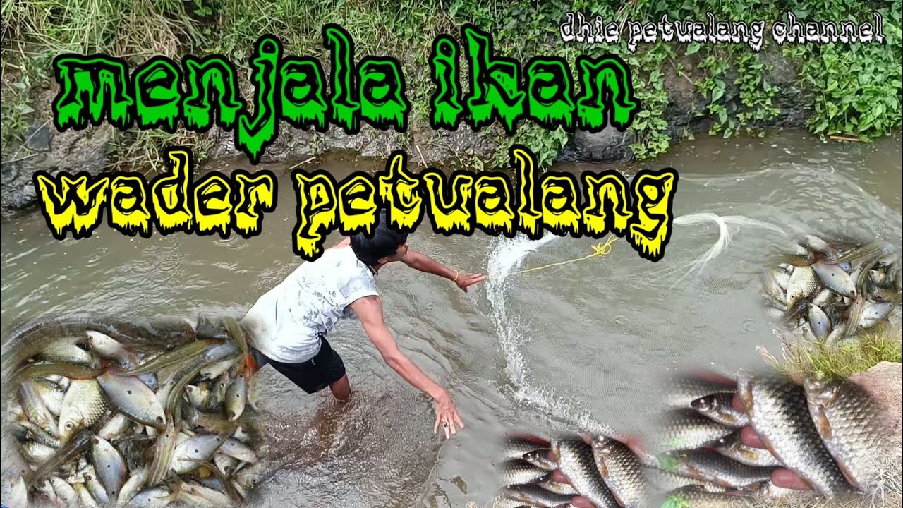 MENJALA IKAN WADER‼️PETUALANG - YouTube