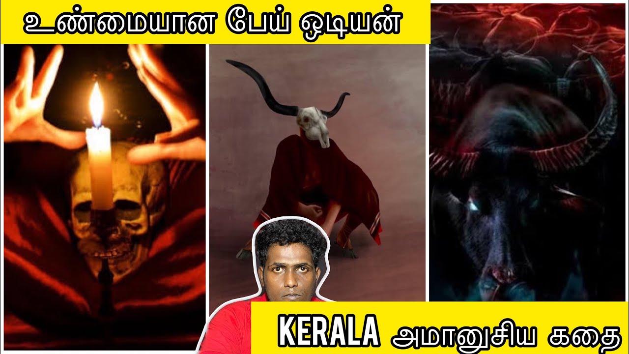 ஒடியன் உண்மையான கதை | Kerala Real Horror Odiyan | #mrvickymedia #mvm # ...