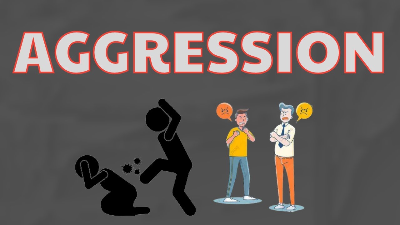 What Does AGGRESSION Means || Meanings And Definitions With Example in ...