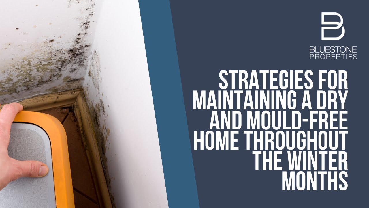 Strategies for Maintaining a Dry and Mould Free Home - YouTube
