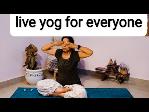 30 minutes evening live yoga for begginers || live stream yoga for ...