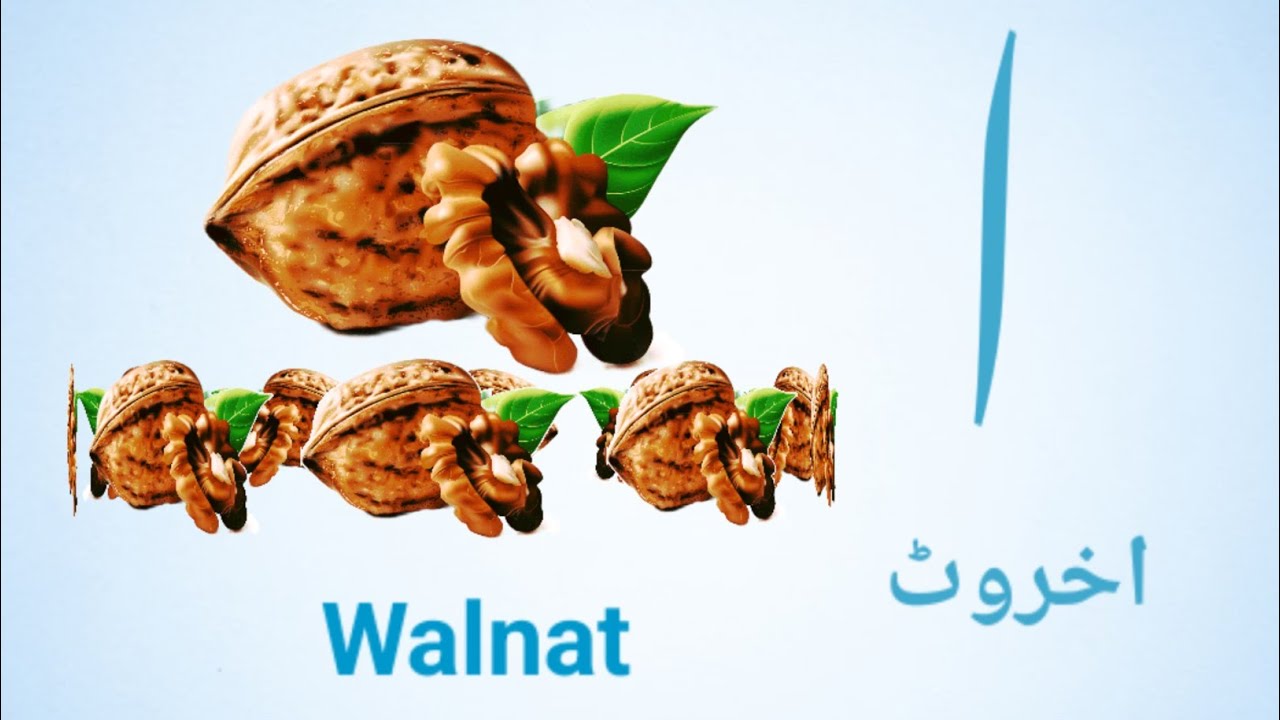 learn Alif with Phonics Song | Alif k Alfaz | Urdu Alphabets | Alif baa ...