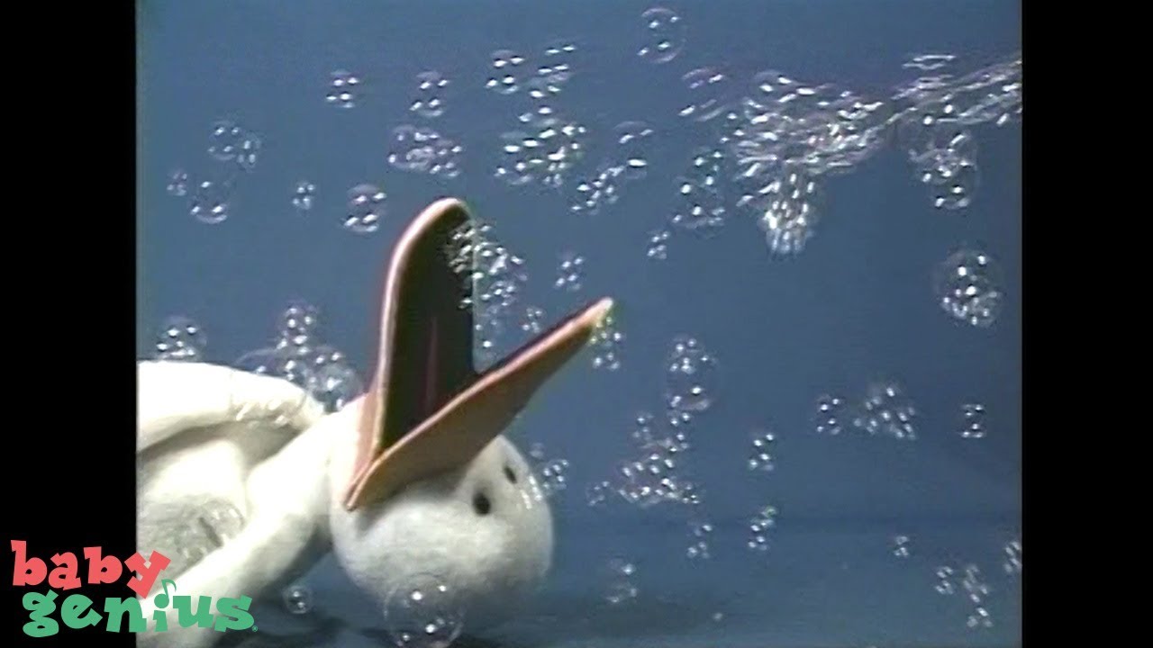 Little baby animals puppets and funny bubbles toys kids video Baby ...